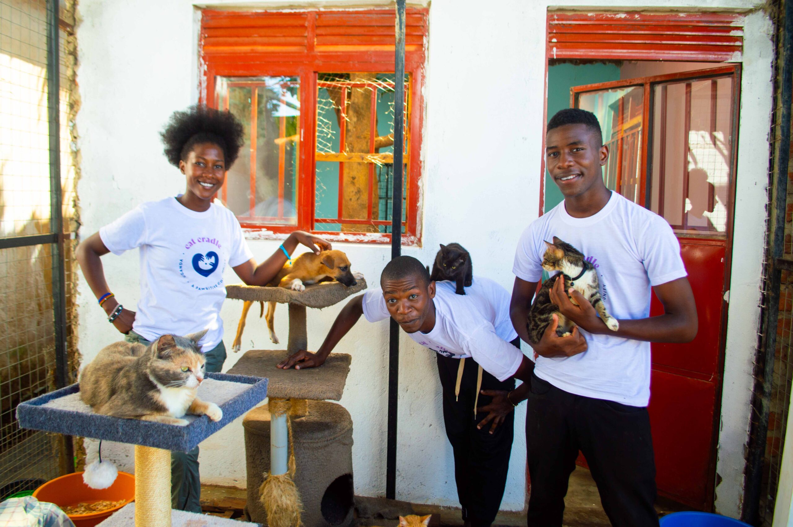 Home - Cat Cradle Uganda